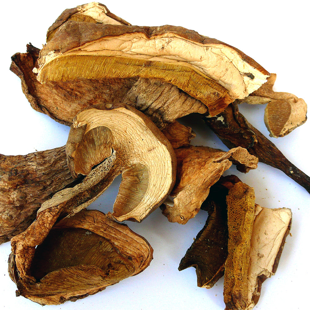 Dried Mushrooms – Mycoboutique