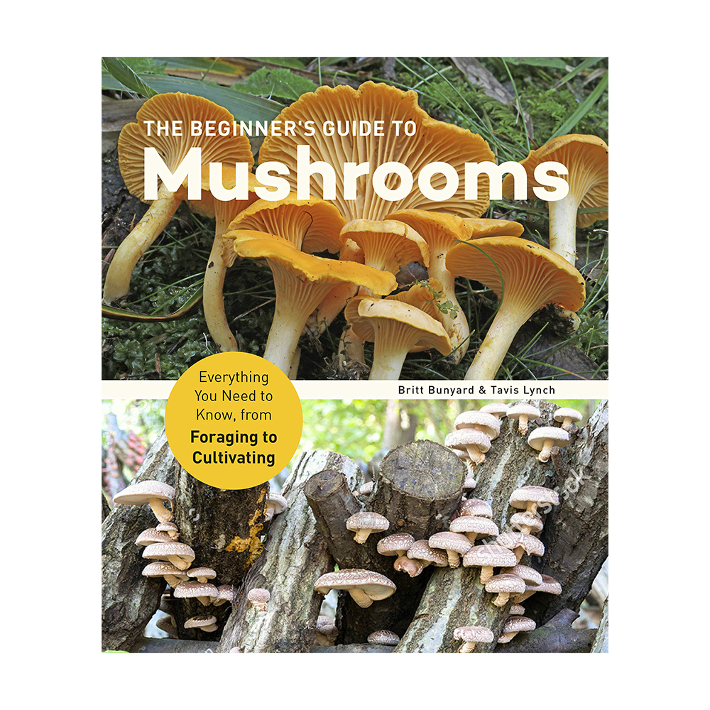 The Beginner's Guide to Mushrooms - Everything You Need to Know from F ...