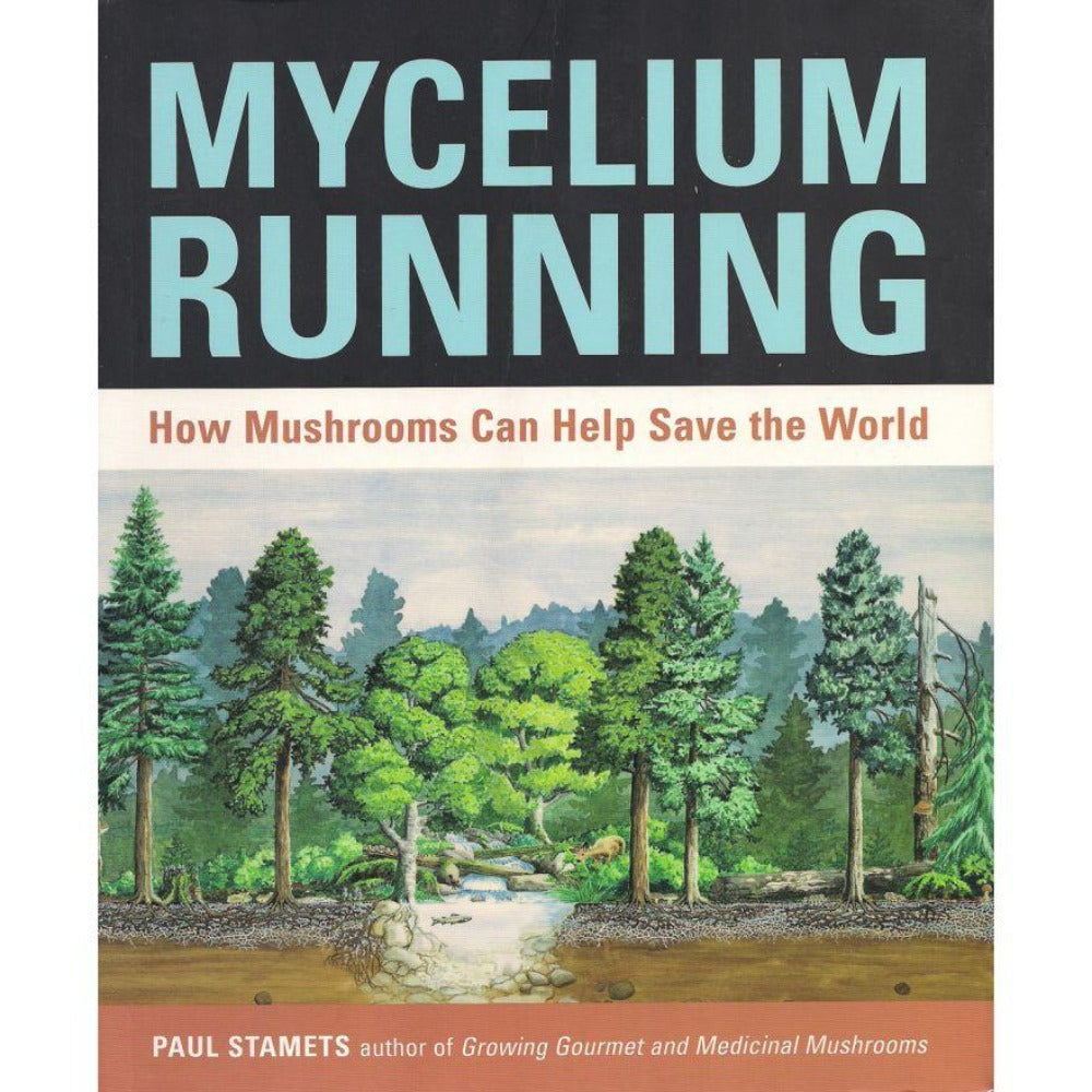 Mycelium Running: How Mushrooms Can Help Save the World – Mycoboutique